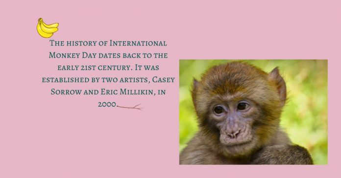International Monkey Day - DiscoveryCentre